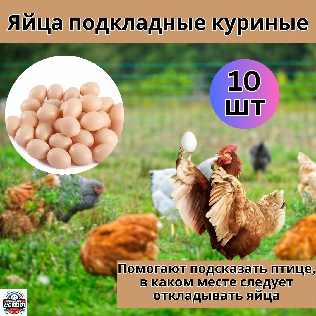 Муляжи куриных яиц подкладные 10 штук для птицеводства и повышения яйценоскости кур