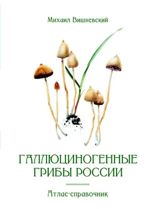 Галлюциногенные грибы России