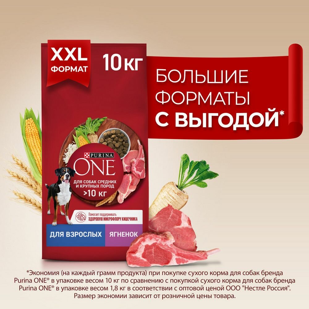 Сухой корм Purina ONE для взрослых собак средних и крупных пород, с высоким содержанием ягненка и рисом, пакет,10 кг