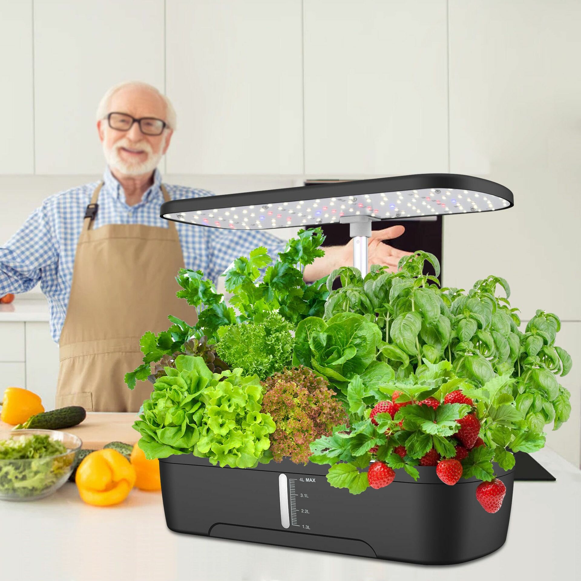 Гидропонная установка