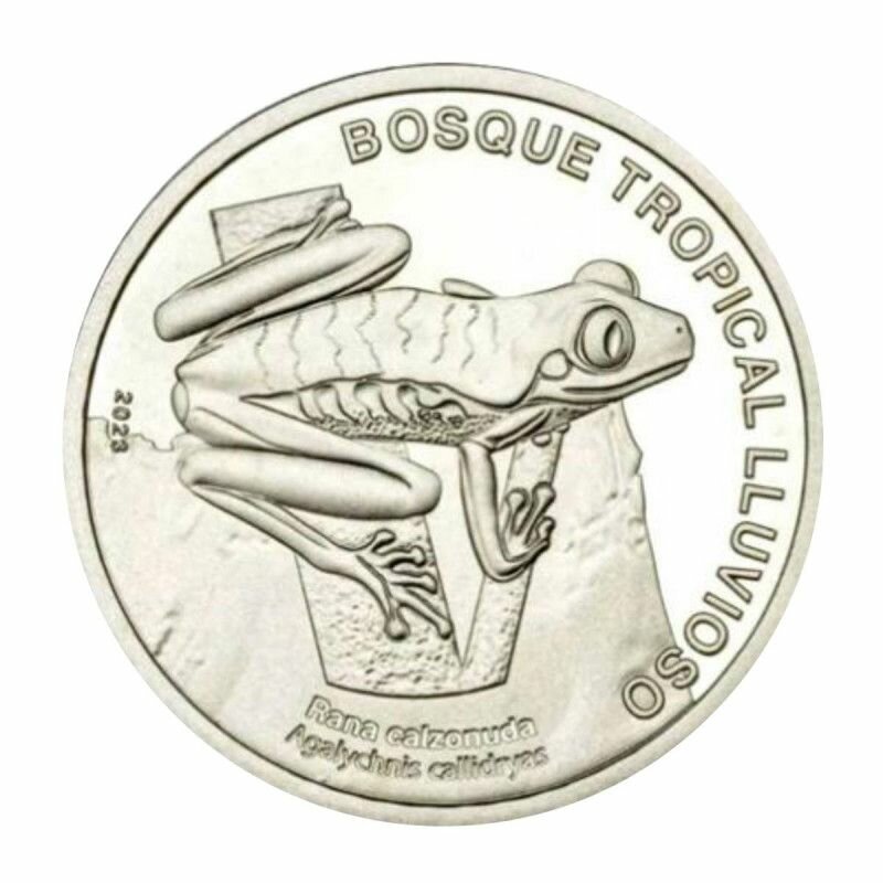 50 колонов Коста-Рики 2023 г. Лягушка Кальзонуда