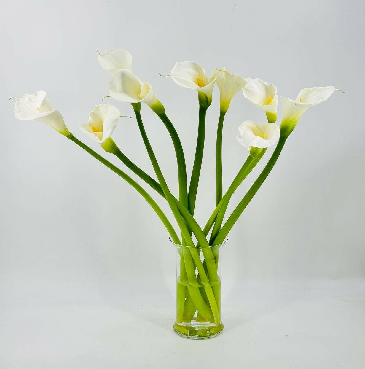 Белые каллы 9 шт. Живые цветы для дома