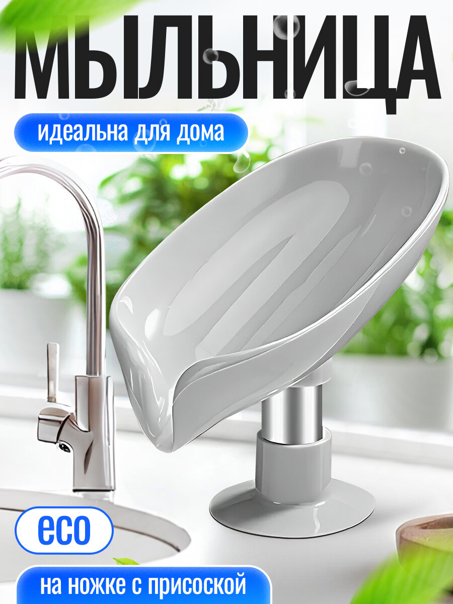 Мыльница