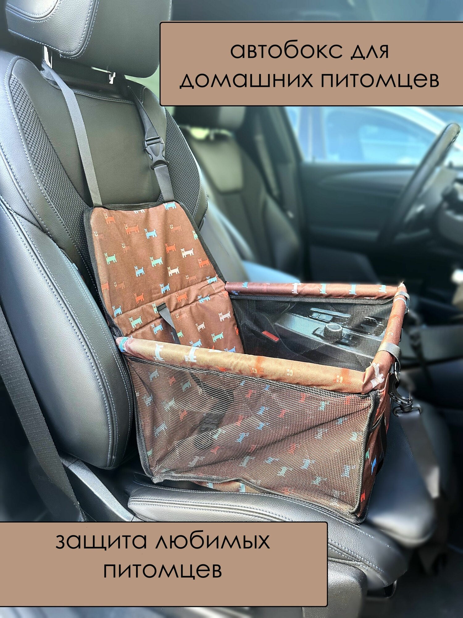 Автобокс для домашних животных