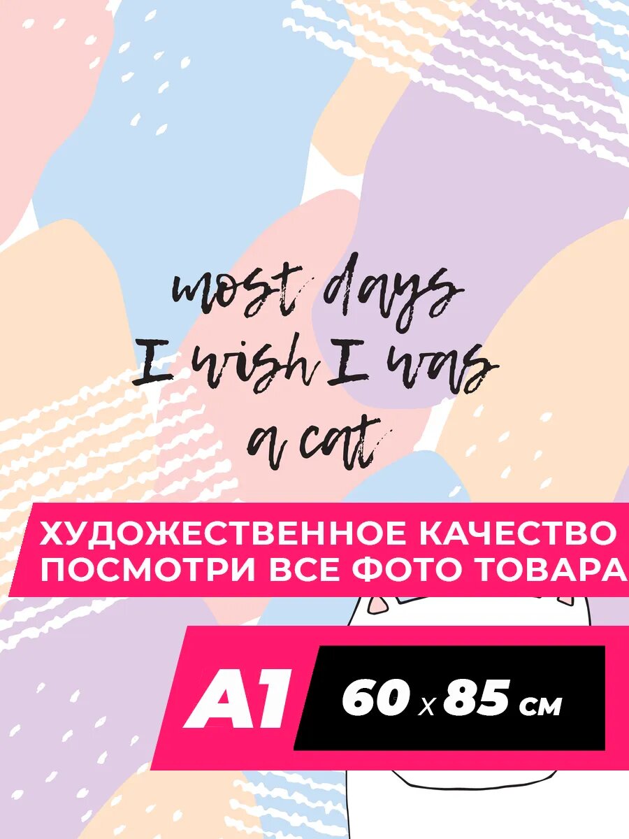 Most days a cat В большинстве дней я кот A1