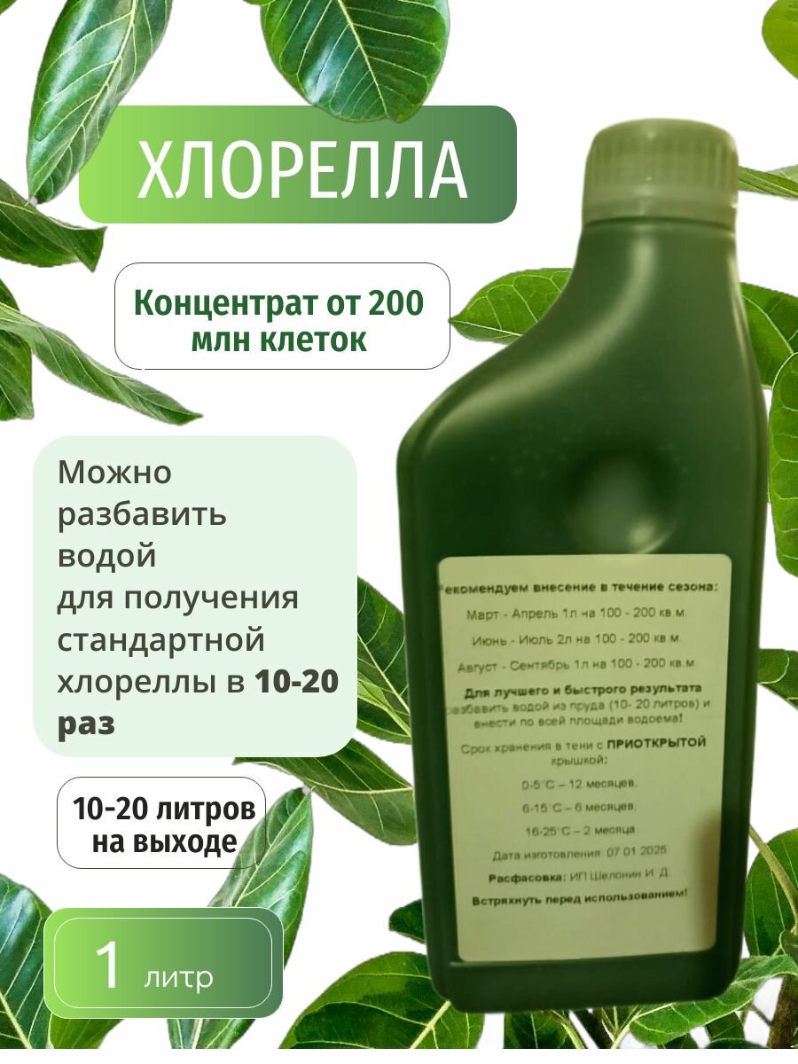 Концентрат Хлореллы от 220 млн клеток