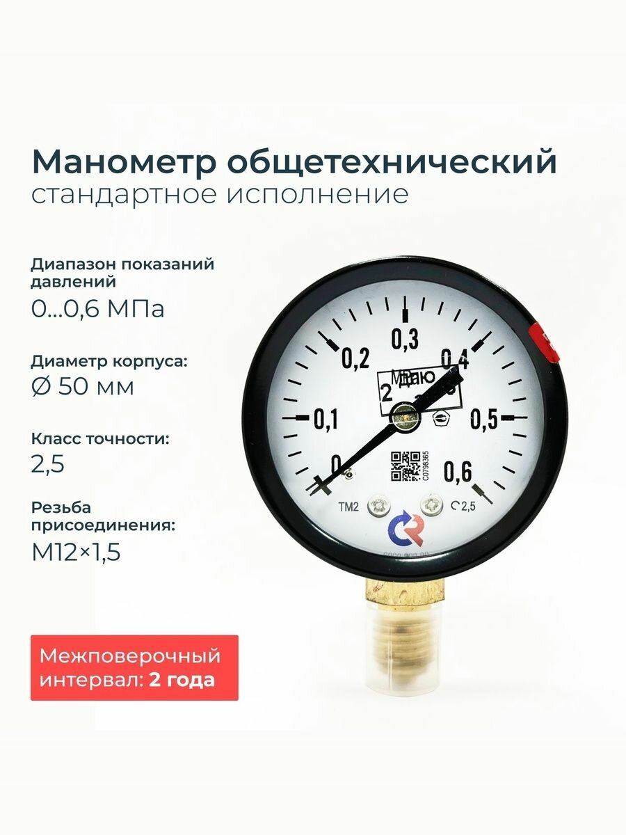 Манометр радиальный 0,6 МПА (6 Бар), класс точности 2,5, резьба M12x1.5 наружная / с поверкой