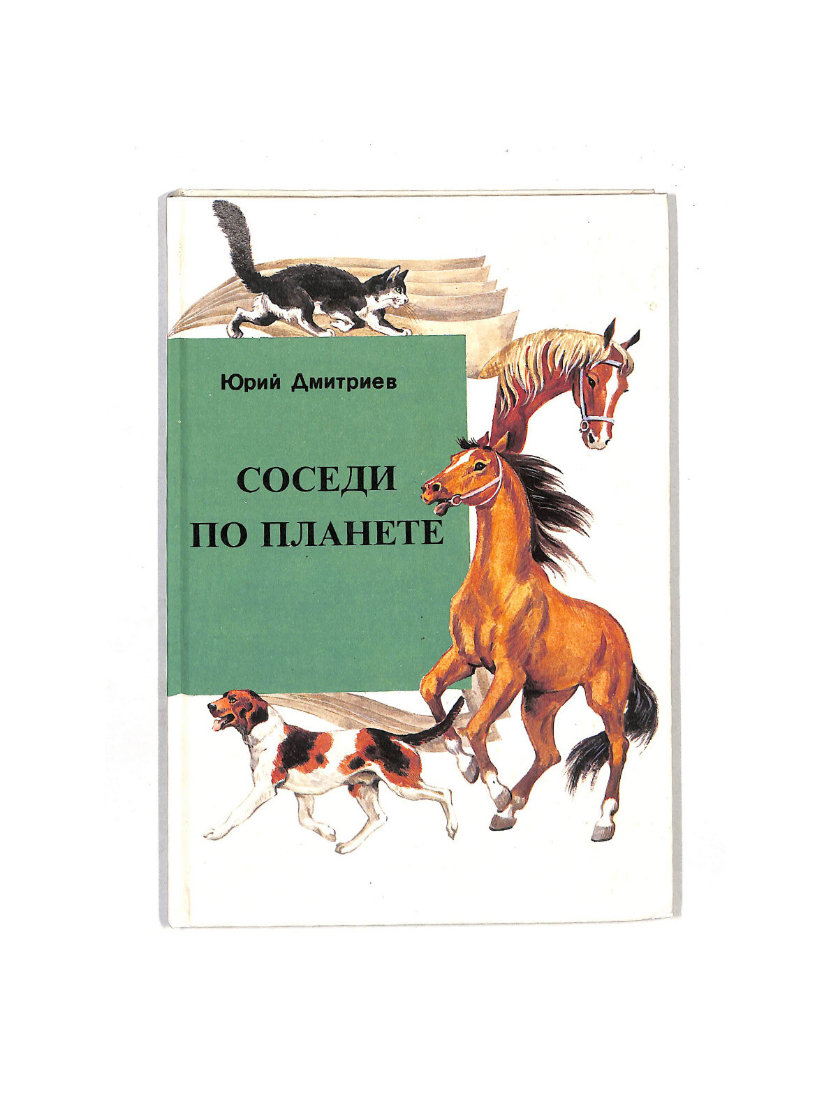 Соседи по планете