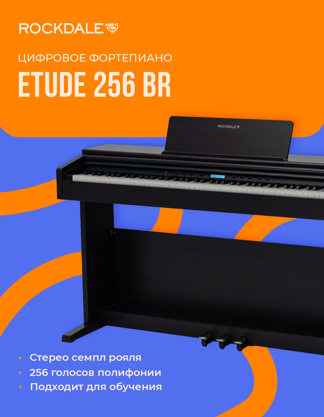 ROCKDALE ETUDE 256 BR кабинетное цифровое фортепиано, цвет темный палисандр