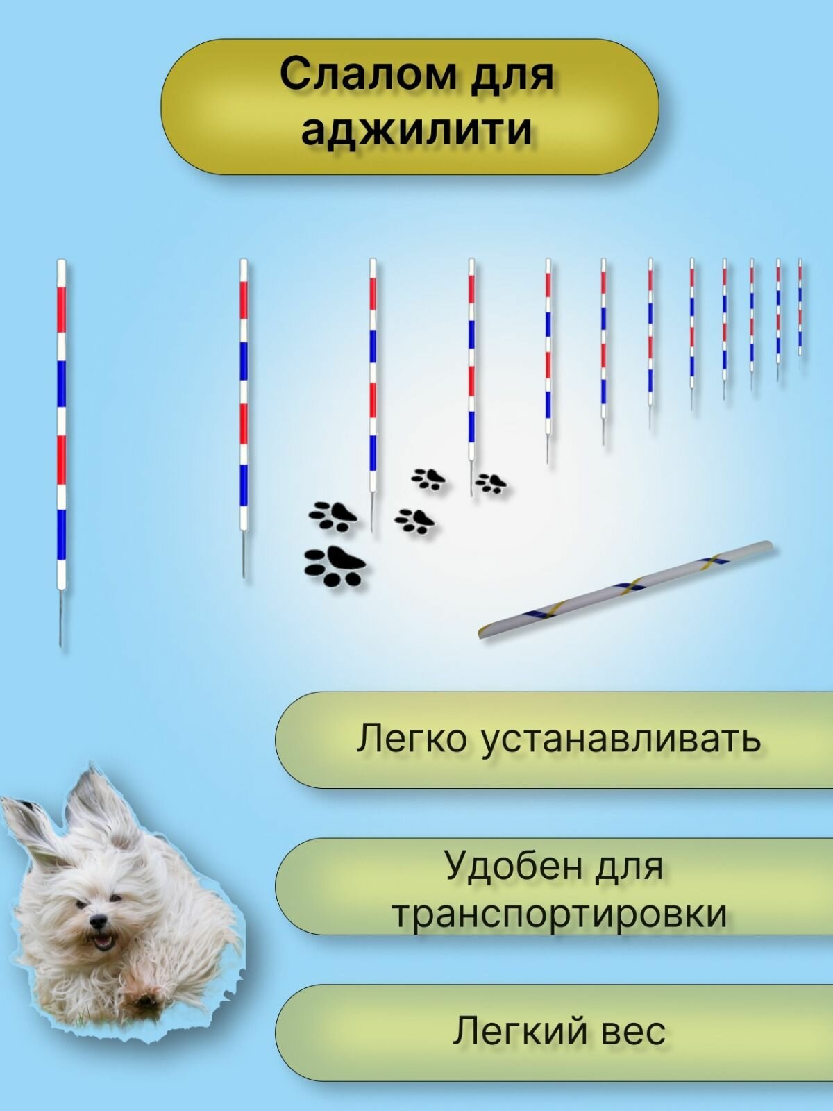 Слалом для аджилити (слалом для собак)