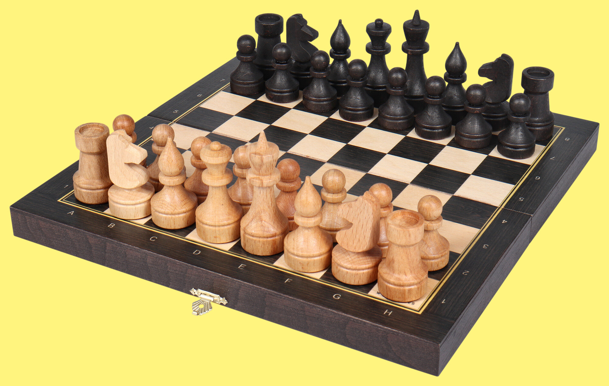 Шахматы Правильный ход (малые)