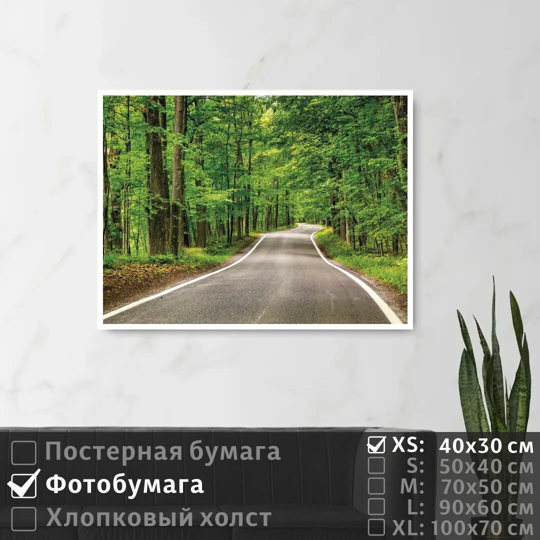 Постер на фотобумаге Дорога Уходящая Вдаль В Летнем Лесу 40х30 см ПолиЦентр