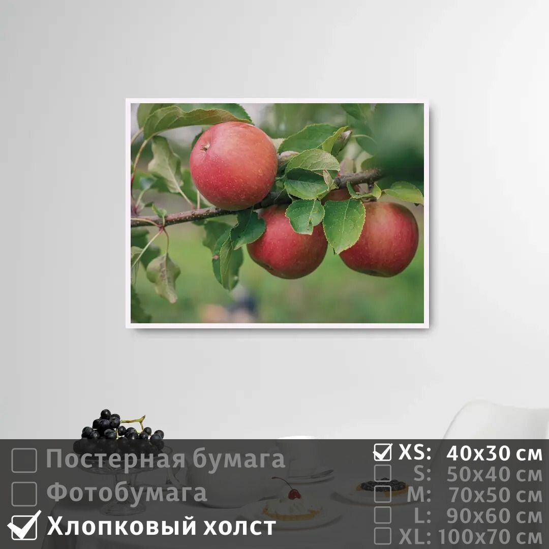 Постер на холсте Красные Яблоки На Ветке Яблони 40х30 см ПолиЦентр