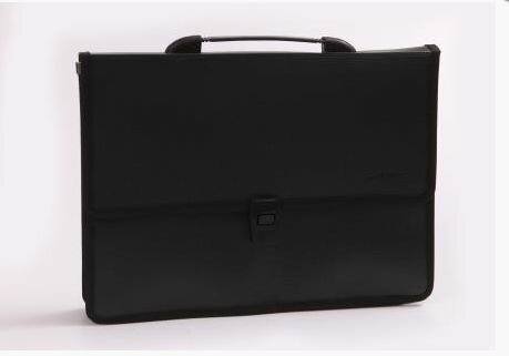 Портфель 2 отдела пластиковый с ручкой "ASMAR"