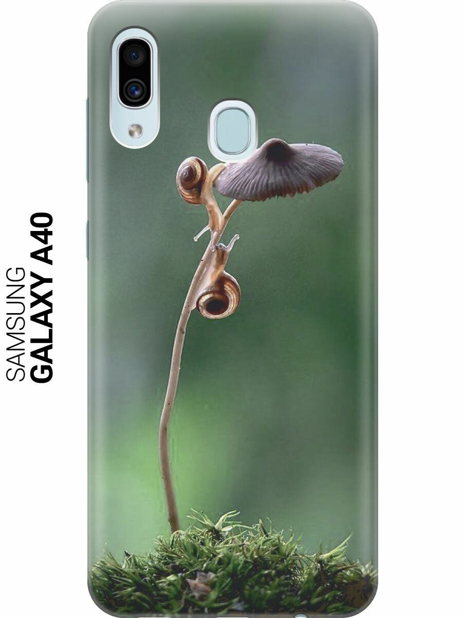 Силиконовый чехол на Samsung Galaxy A40, Самсунг А40 с принтом "Две улитки"