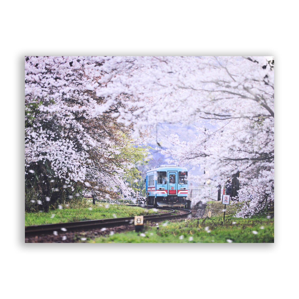 Постер, плакат на бумаге / Train / Поезд / Размер 30 x 40 см