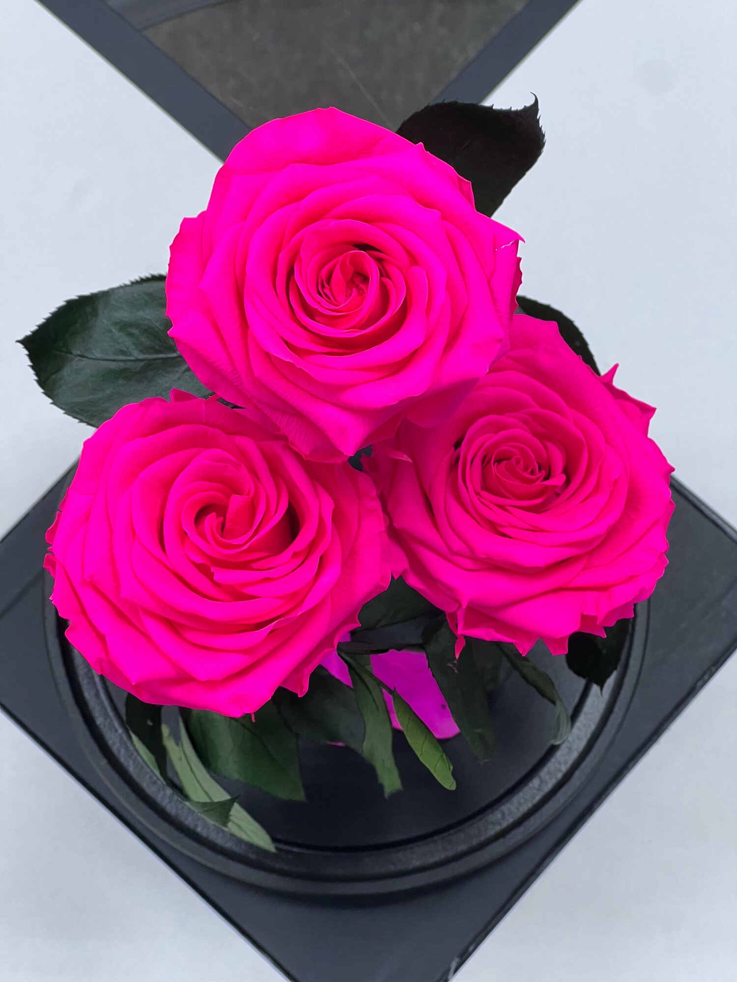 Фуксия трио "VIP" из роз в колбе в подарочной коробке с вау-эффектом/ 32 см Живет 5 лет