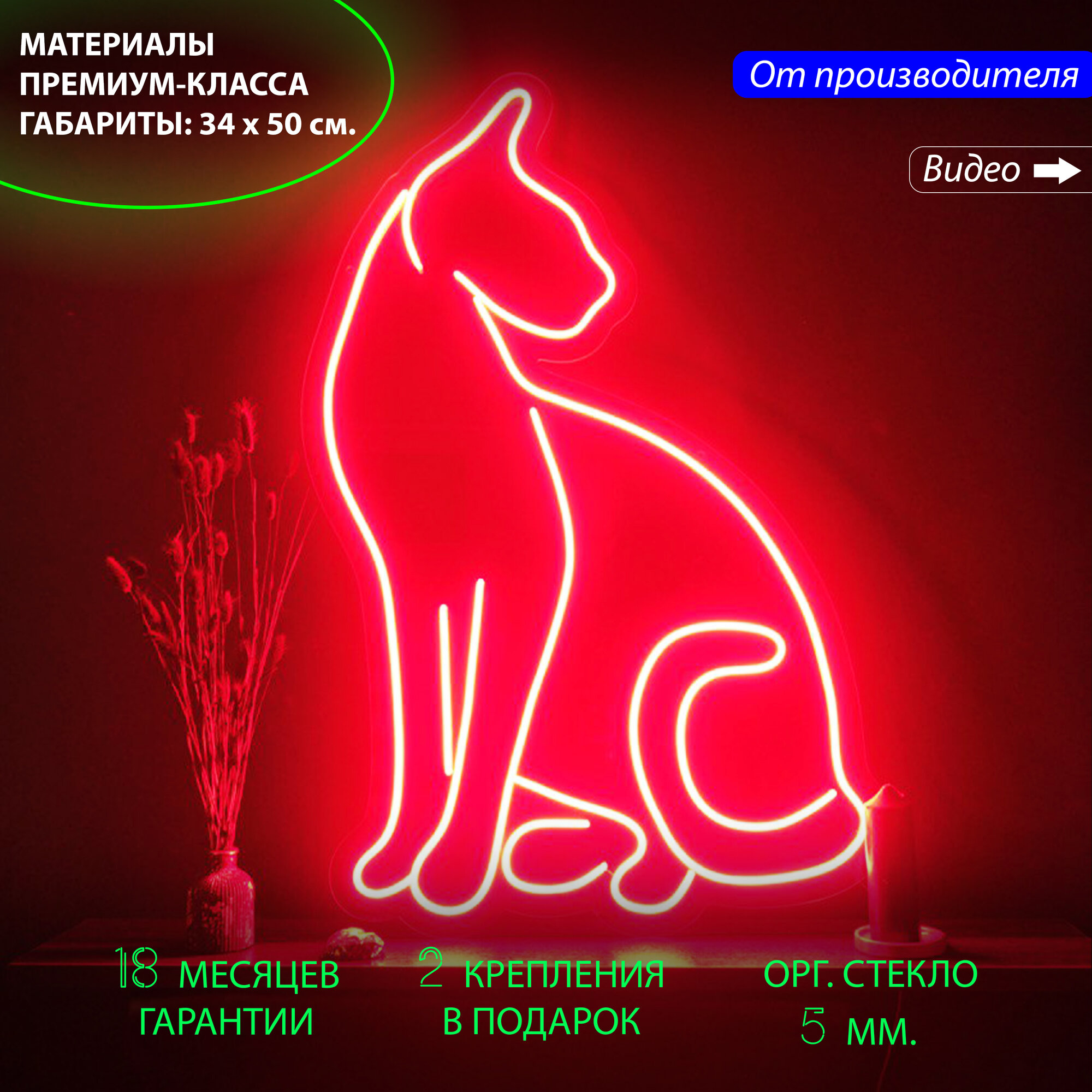 Неоновая вывеска "Кошка", 34 х 50 см, светильник из гибкого неона