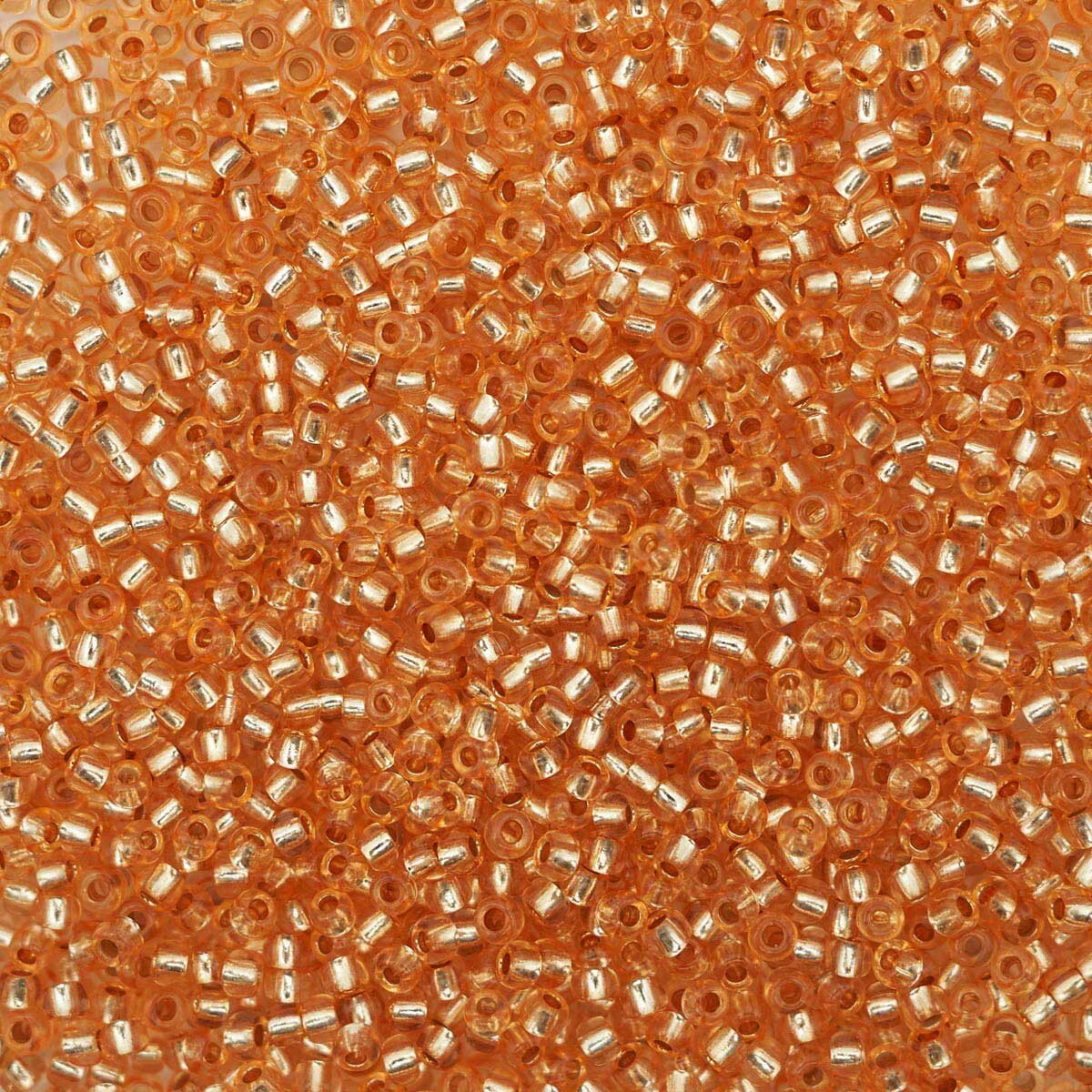 Бисер чешский Preciosa прозрачный с круглым серебристым центром 10/0 (18288), 50г