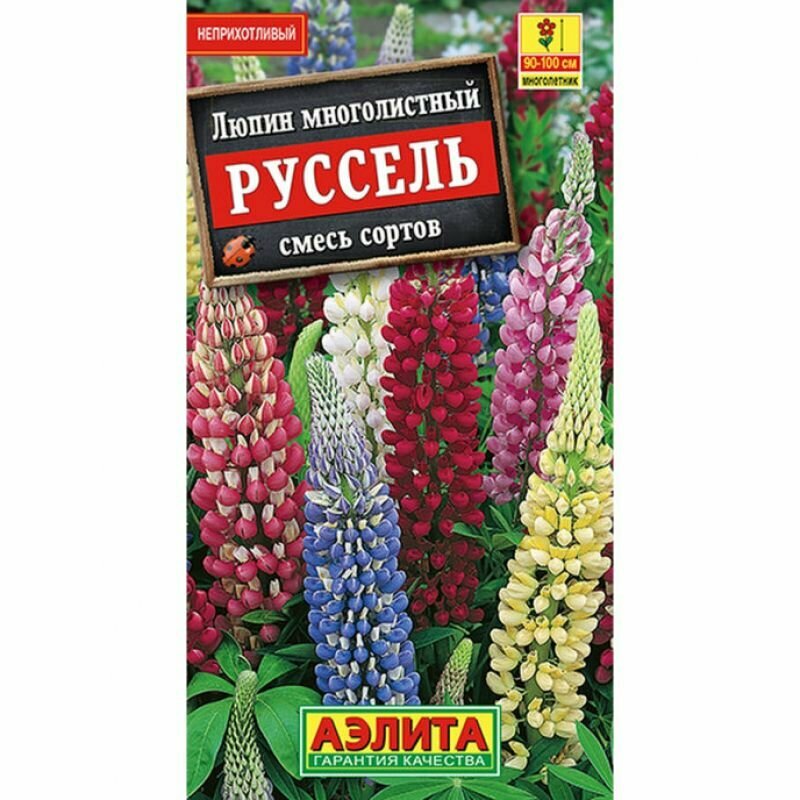 Люпин Руссель, смесь окрасок