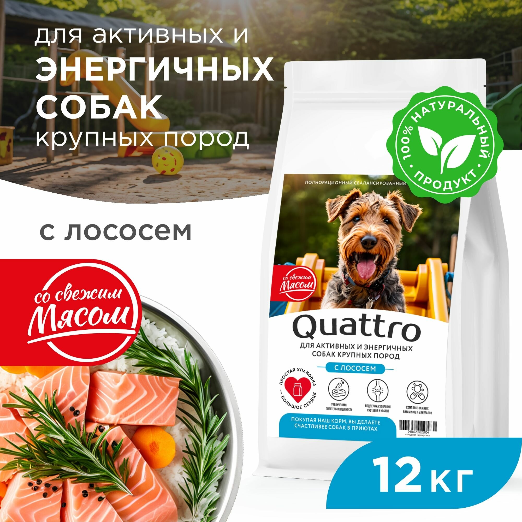 Корм сухой для взрослых собак крупных пород, премиум полнорационный комплекс, для активных и энергичных собак, с лососем, 12 кг, QUATTRO