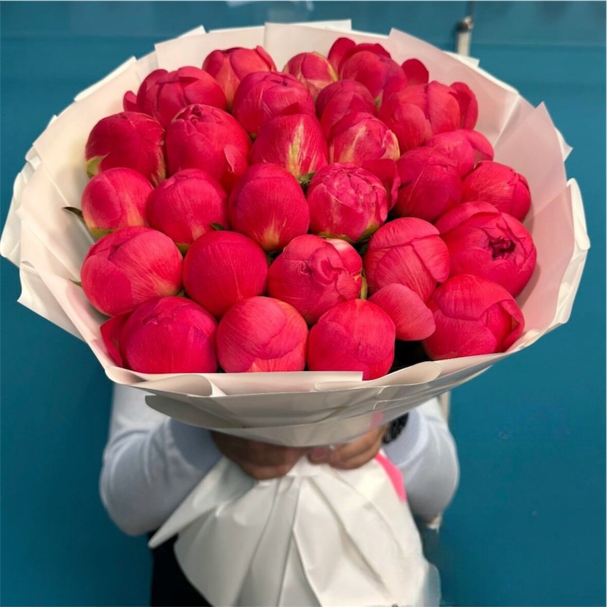 Букет из коралловых пионов 25 шт, красивый букет цветов, шикарный, премиум цветы, премиум букет