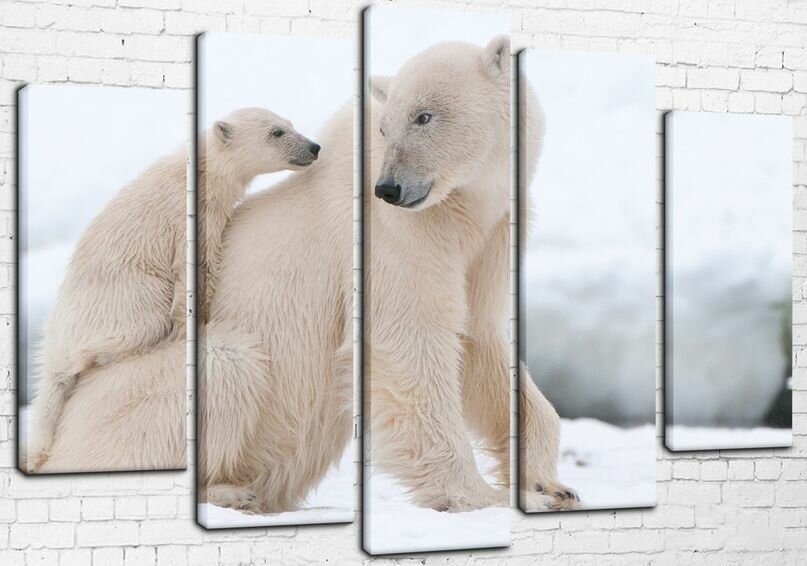 Картина модульная 125х75 Белые медведи