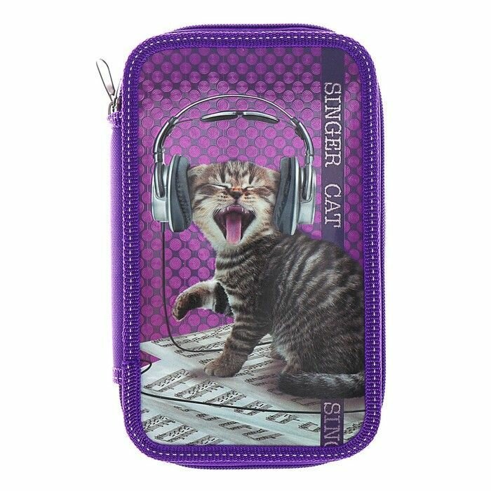 Пенал Канцбург 2 отделения 205х125х40 мм, молния, ламинация картон "Кот-певец"