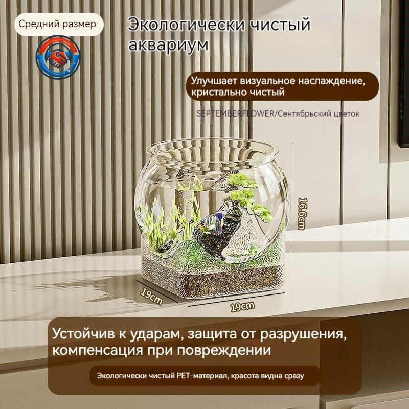 Панорамный настольный аквариум из прозрачного ПЭТ, куб 19 см, 360 обзор, компактный аквариум для рыбок и растений, украшение рабочего стола