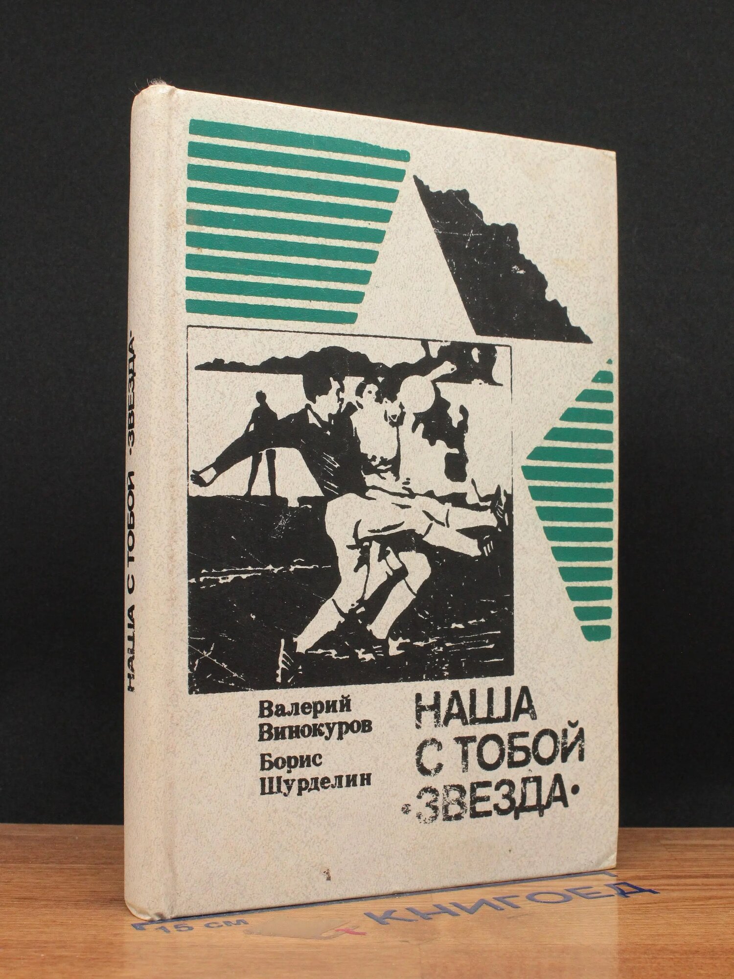 Книга. Наша с тобой Звезда. Чьи сыновья 1989 (20373946645759)