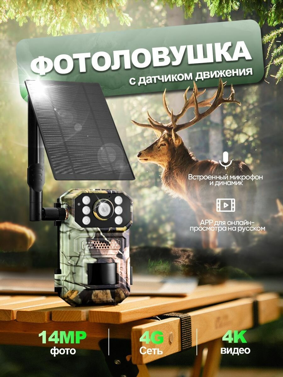 Фотоловушка — фото 1