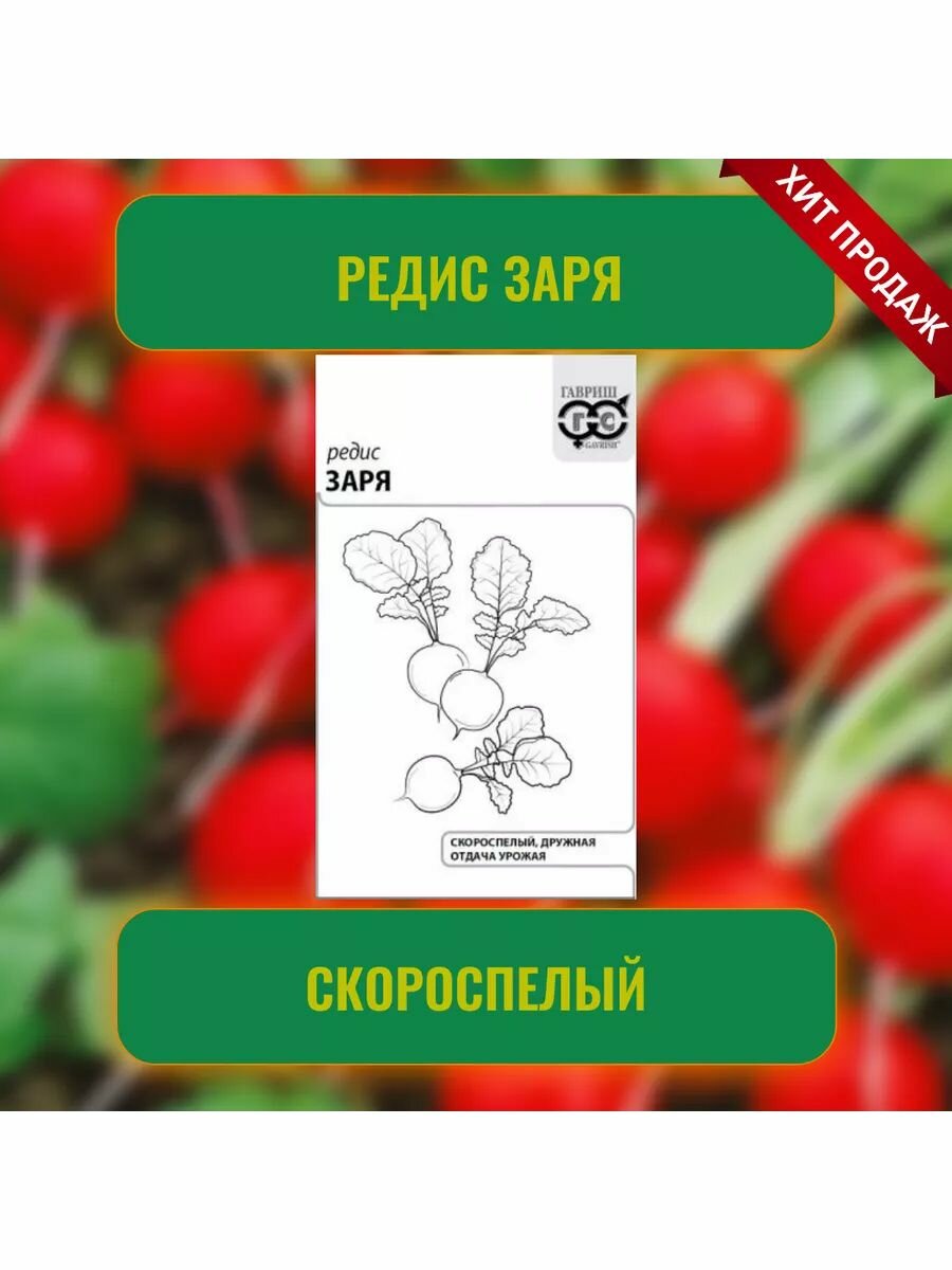 Редис Заря бел. п 3г Гавриш