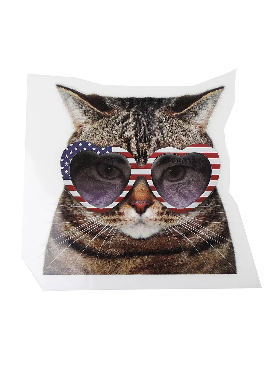 Термотрансфер Кот в очках 13,6х12см 2шт
