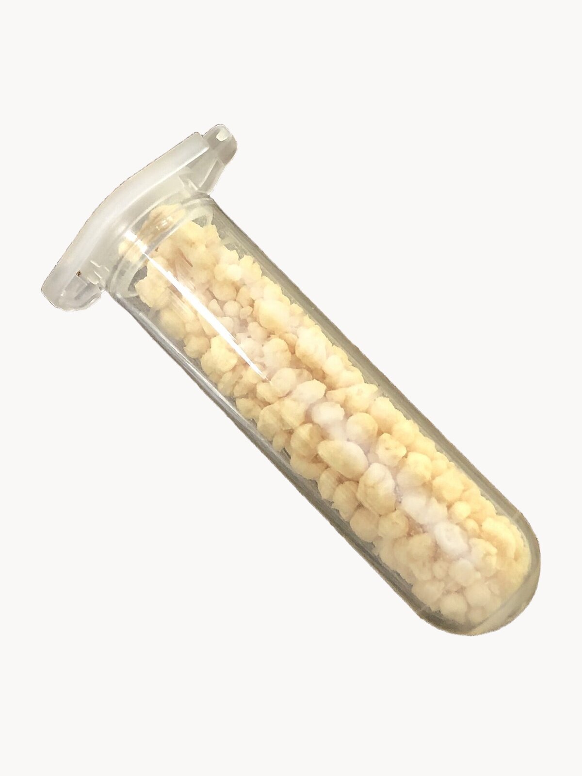 Мезофильная закваска для приготовления сыра Hansen Flora Danica, 5 U