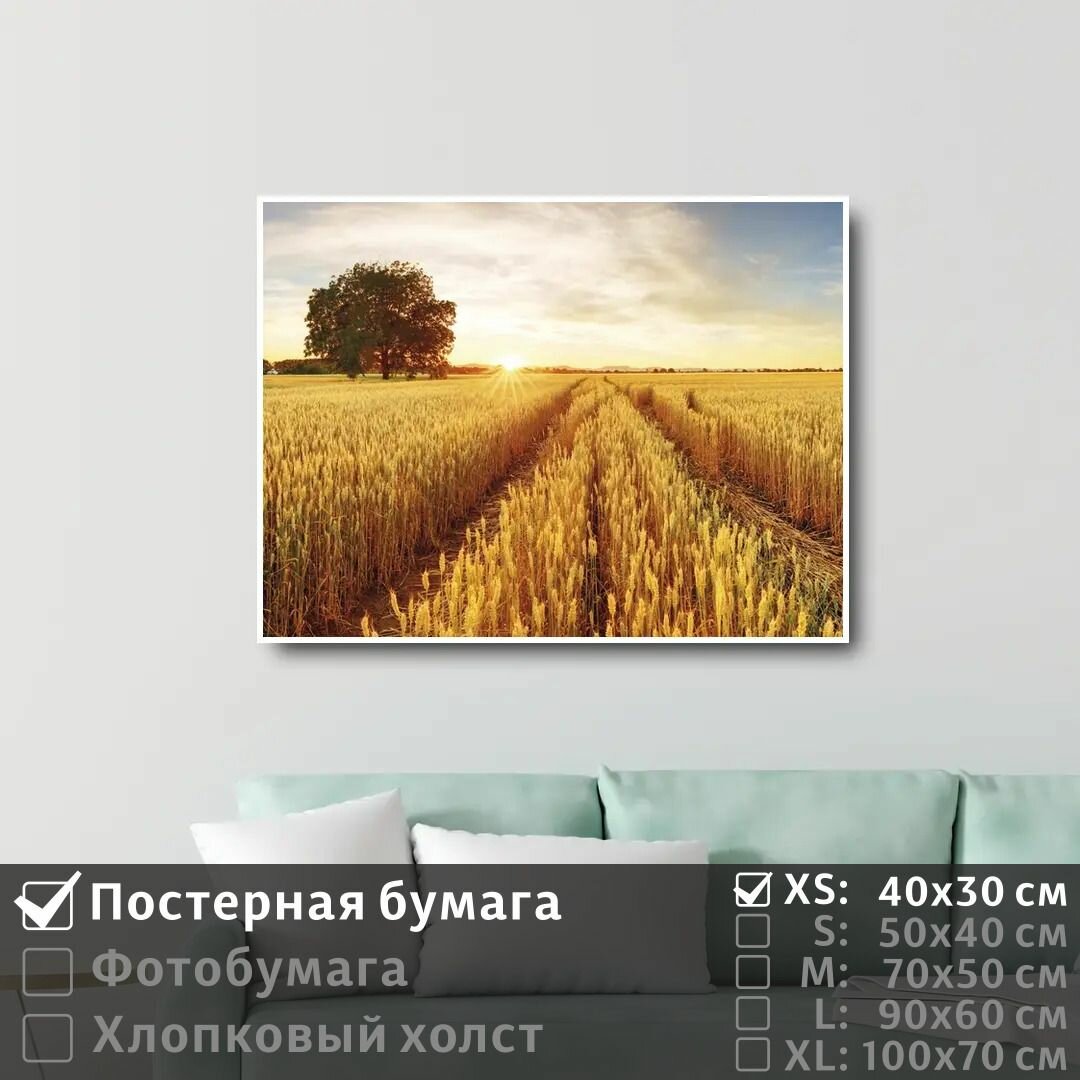 Постер на стену Восход Солнца Над Пшеничным Полем 40х30 см ПолиЦентр