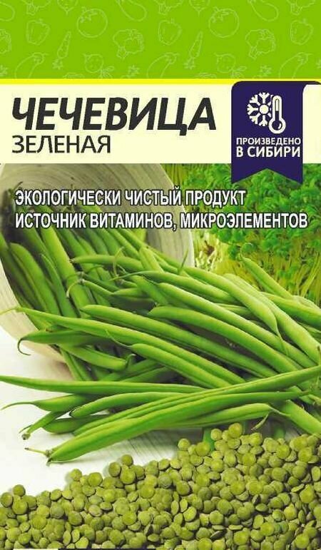 Чечевица Зеленая