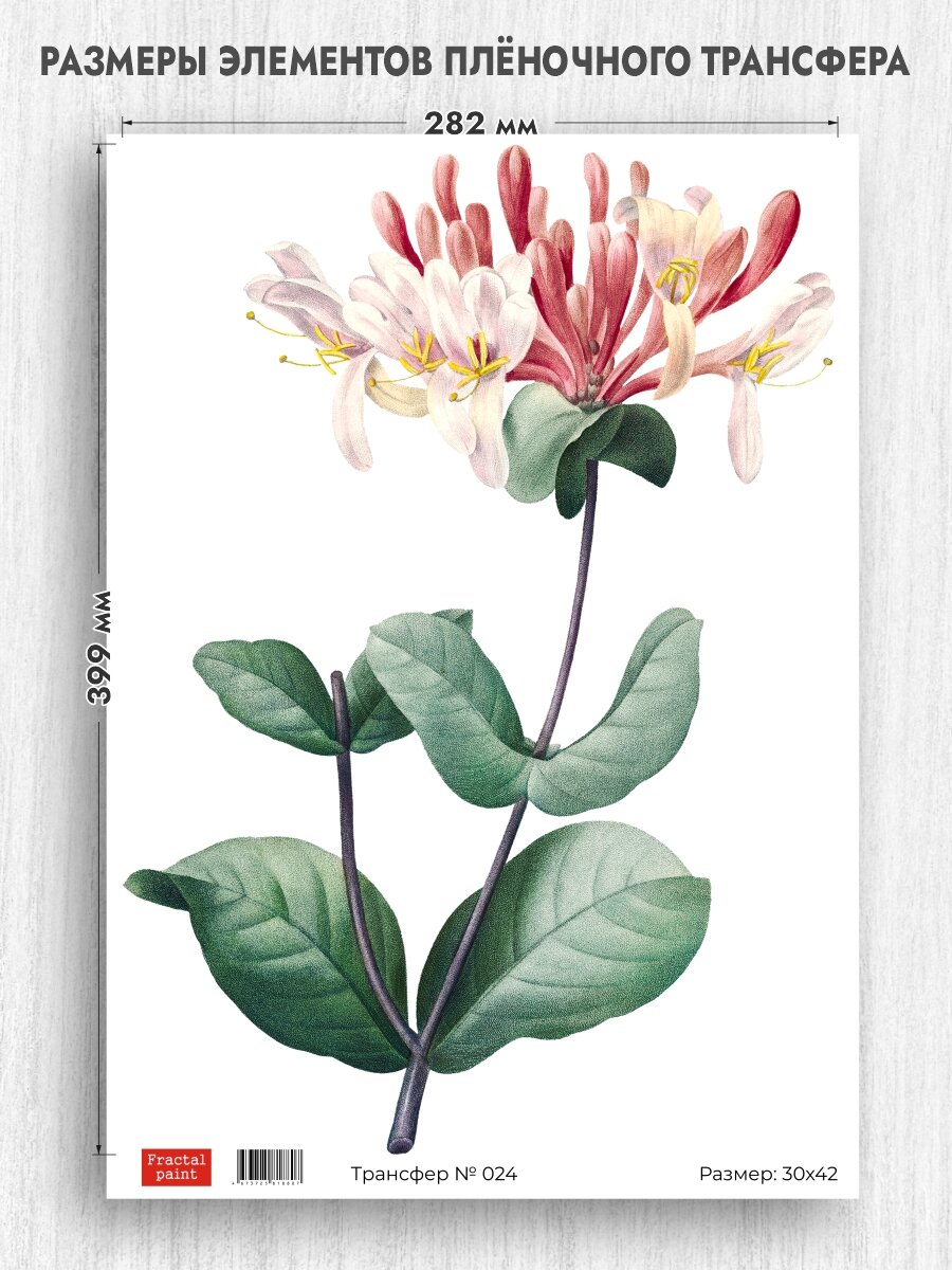 Трансфер для декупажа переводной рисунок для поверхностей 024 (А3)