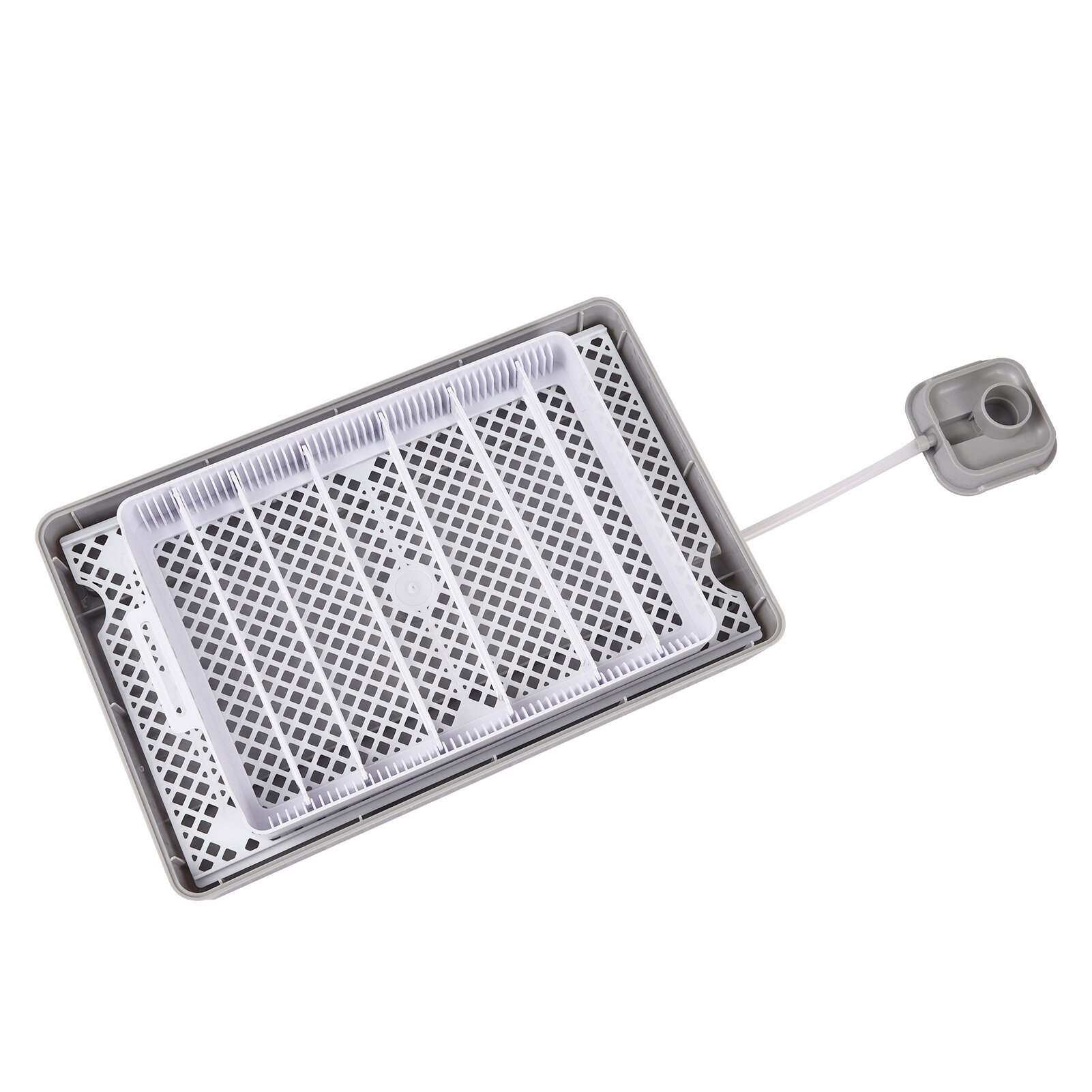 Цифровой инкубатор для яиц на 20 яиц, инкубатор для домашней птицы с автоматическим поворотом яиц, контролем температуры, светодиодной подсветкой, сигнализацией температуры и влажности, инкубатор для куриц, уток, птиц, яиц