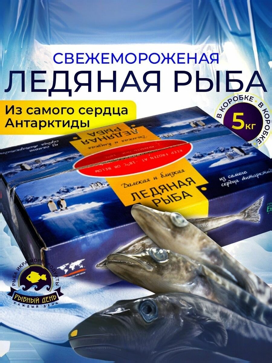Ледяная рыба свежемороженая, 2 коробки по 5 кг