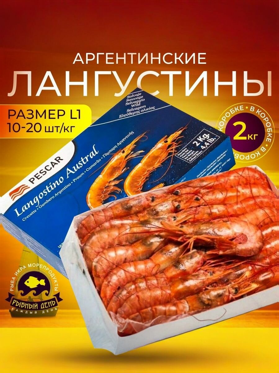 Креветки Аргентинские - Лангустины с головой, размер L1 (самые крупные 10-20 шт/кг), коробка 2 кг.