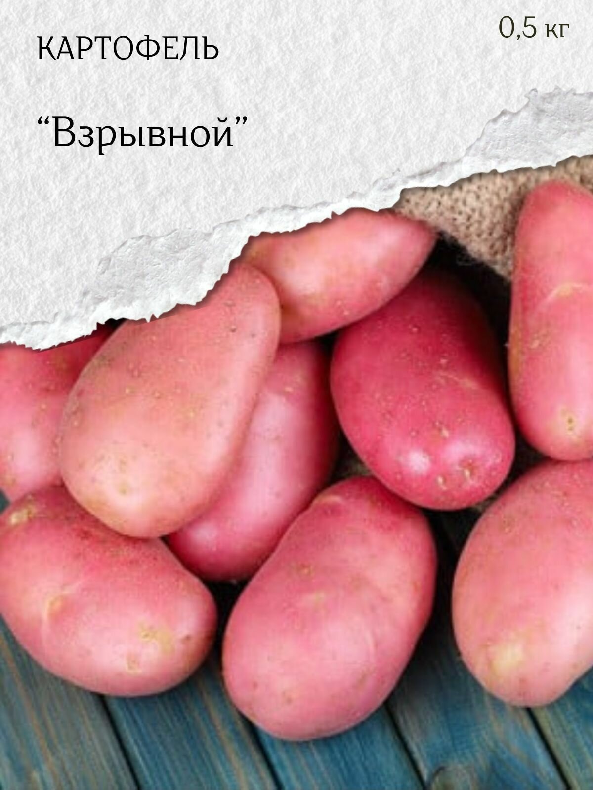 Картофель семенной красный Взрывной клубни на посадку 500 гр.