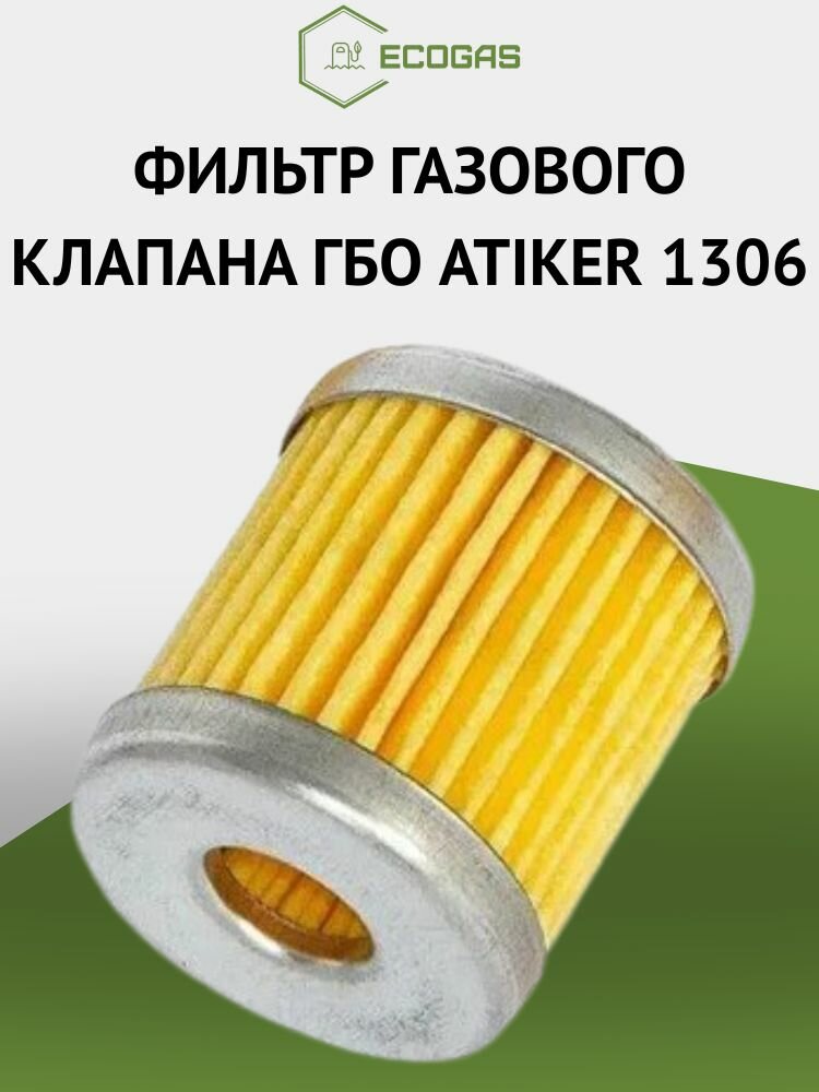 Фильтр газового клапана ГБО ATIKER 1306