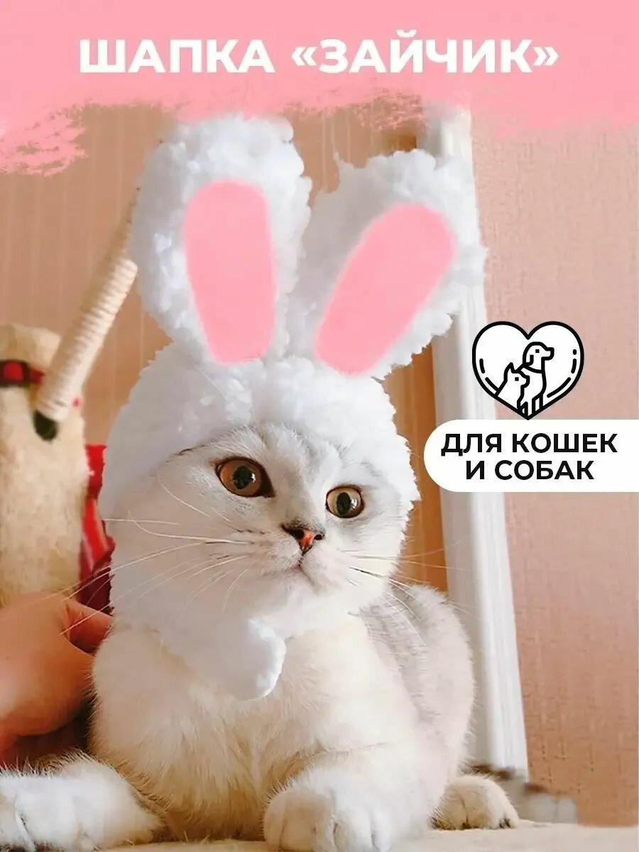 Шапка для животных, уши для кошек, собак шапка для кошек шапка для собак ушки для животных