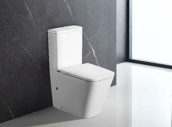 Напольный унитаз Ватикан (безободковый, смыв торнадо, сиденье дюро микролифт быстросъем), Terminus