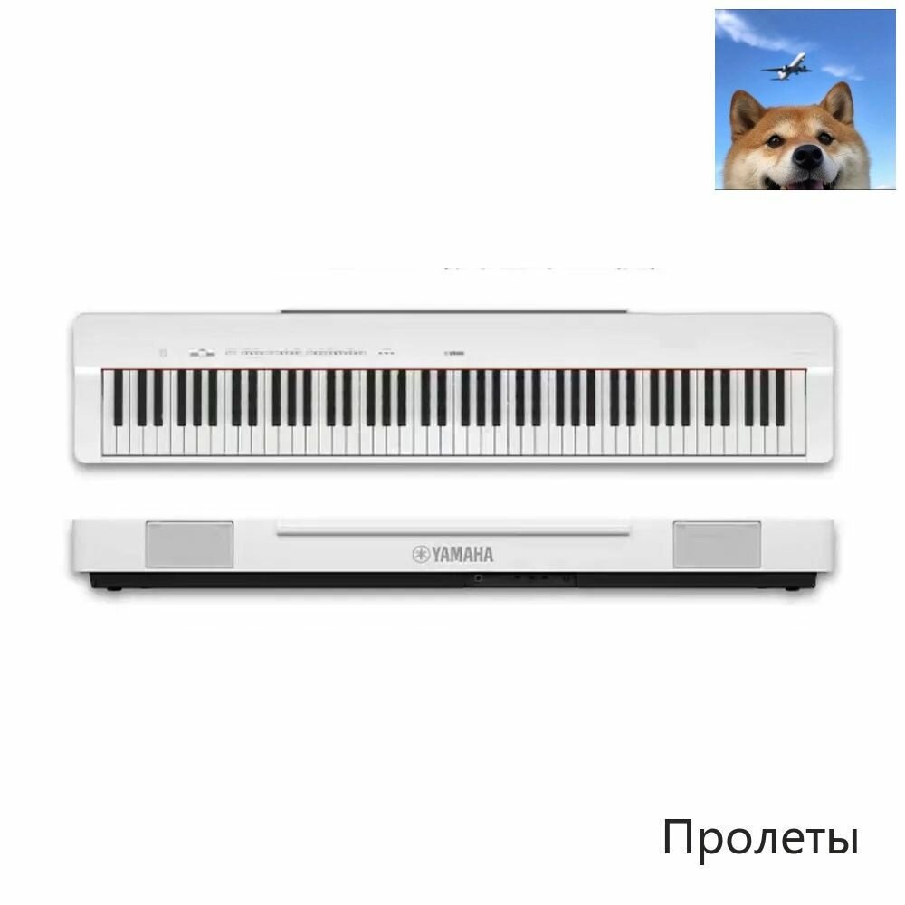 Yamaha P-125A WH Цифровое пианино / синтезатор yamaha P 125