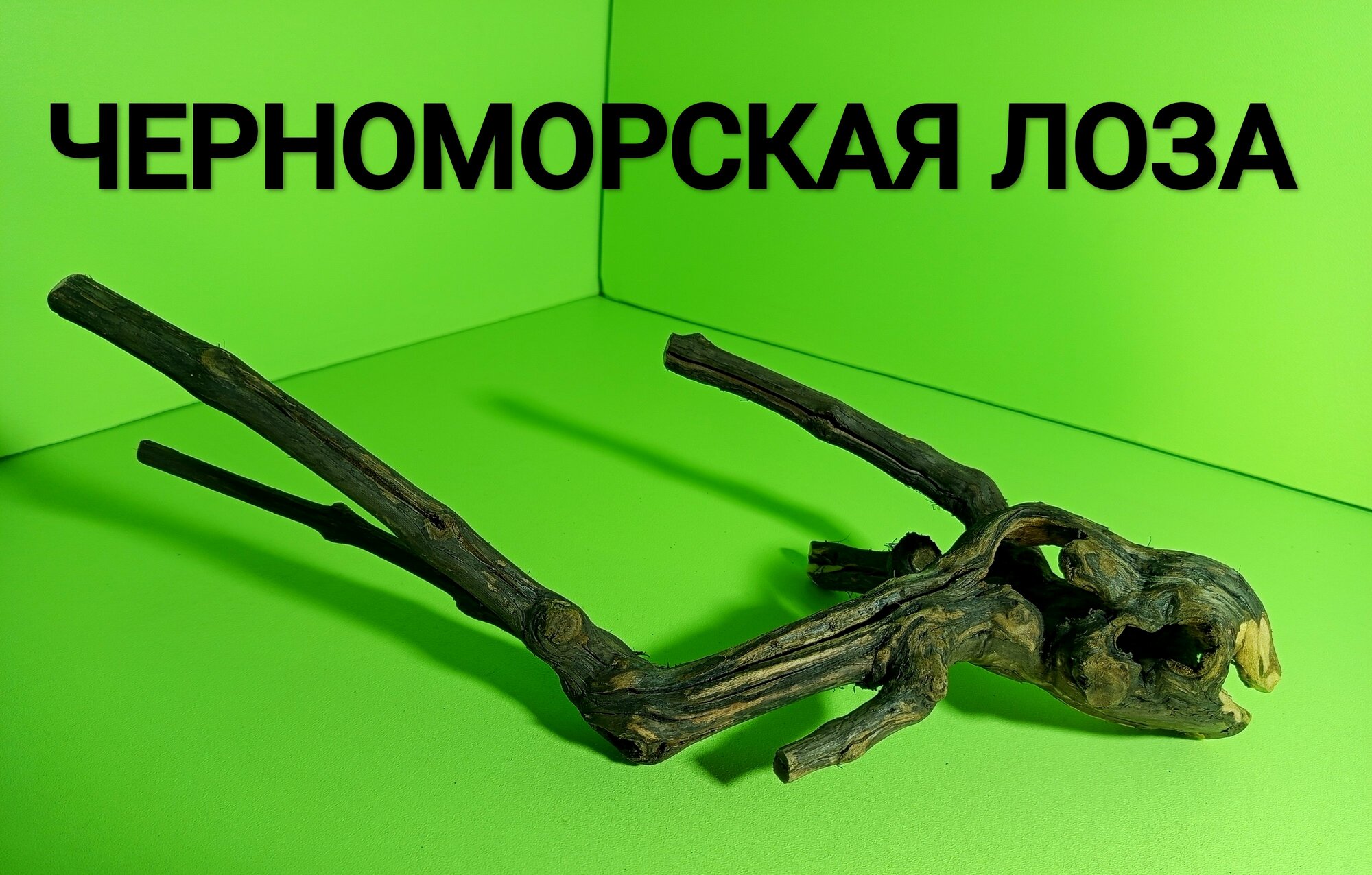 Декорация виноградная лоза черноморская для аквариума, террариума, вольера, дизайна и творчества. Натуральная коряга.