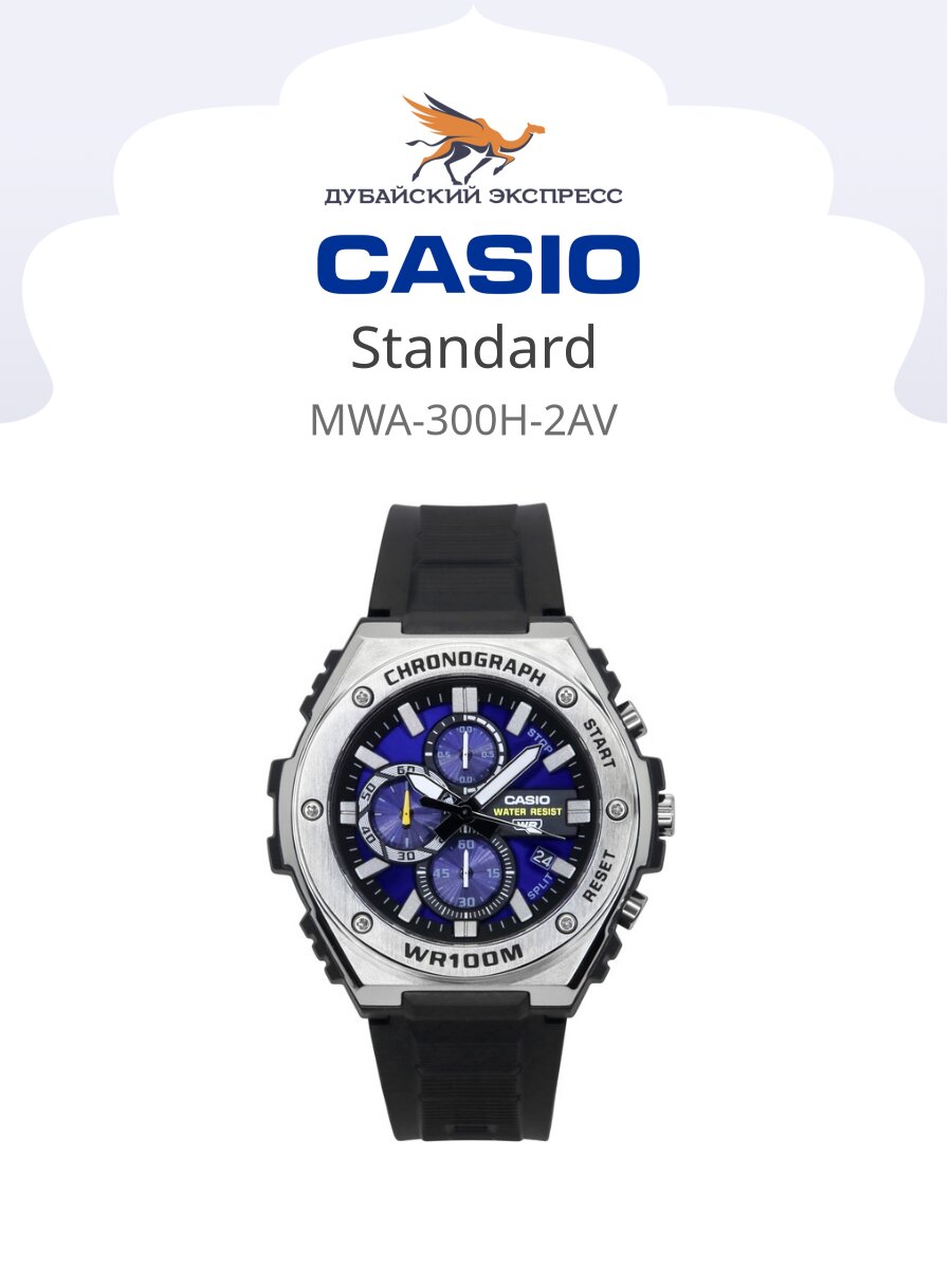  CASIO