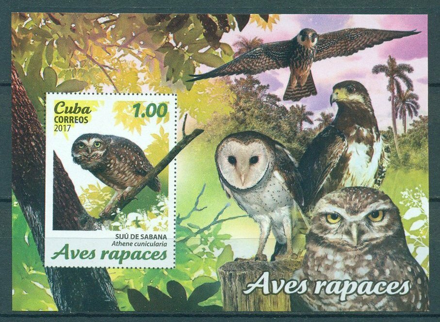 Почтовые марки Куба 2017г. "Пернатые хищники" Птицы, Совы MNH
