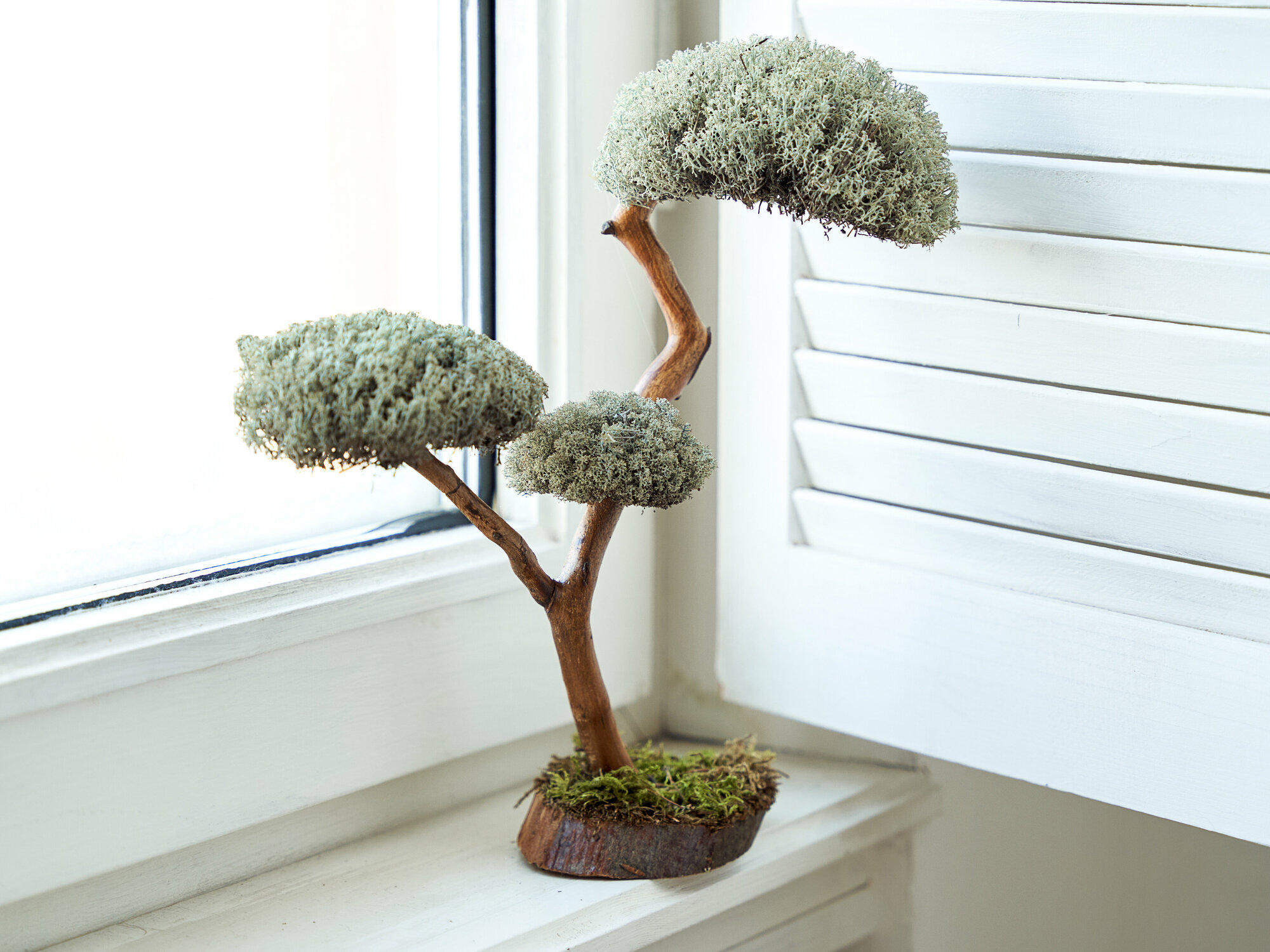 Бонсай из мха и дерева 40см, дерево из Исландского мха