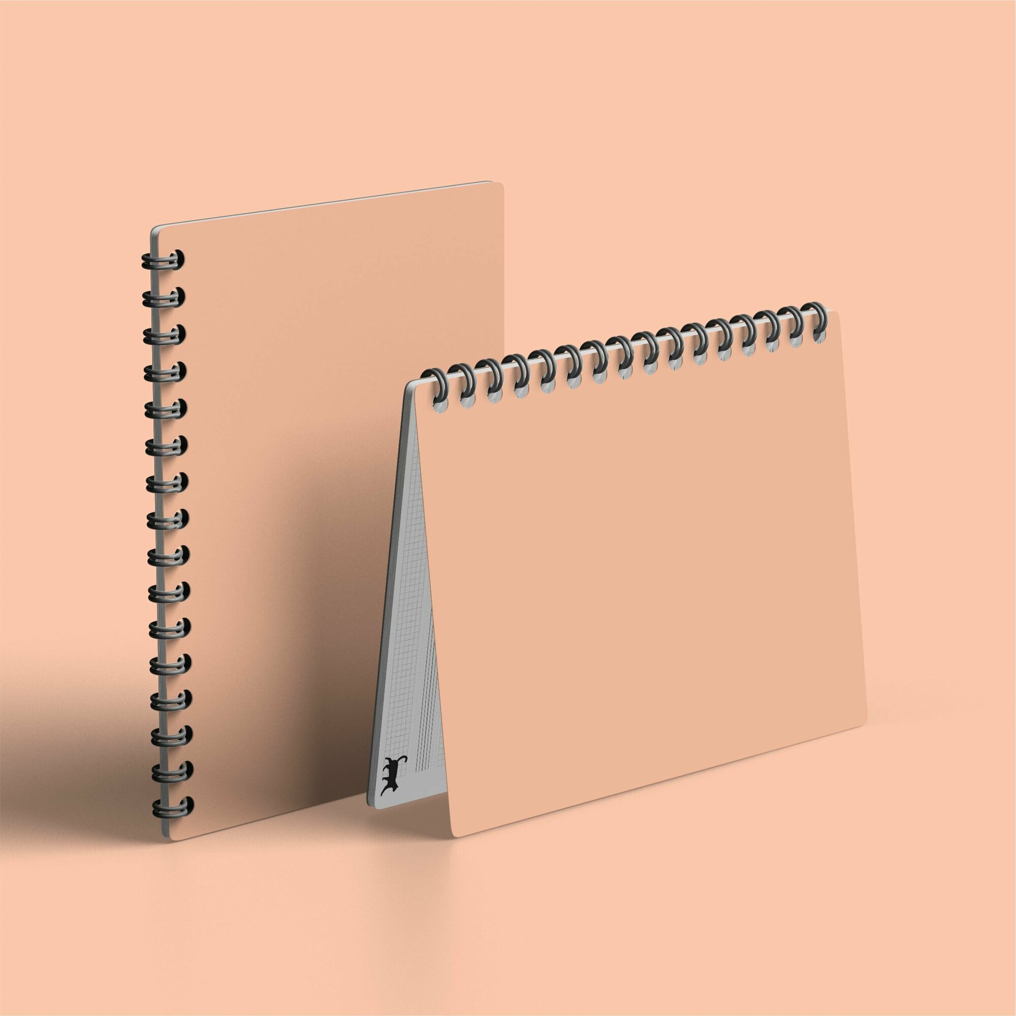 Тетрадь для нот/нотная тетрадь Ташка, А4, 90 страниц, Лососевый